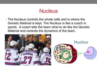 Cell project Jonathan haims 7 w | PPT | Free Download