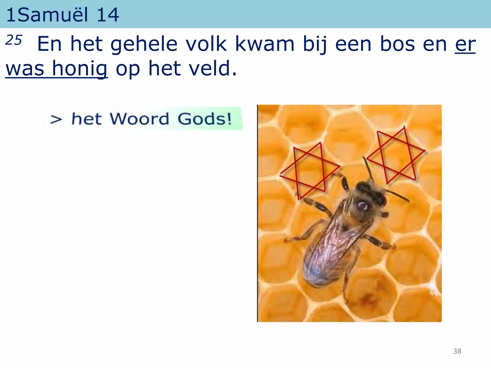 Jonathan honing | PPTX