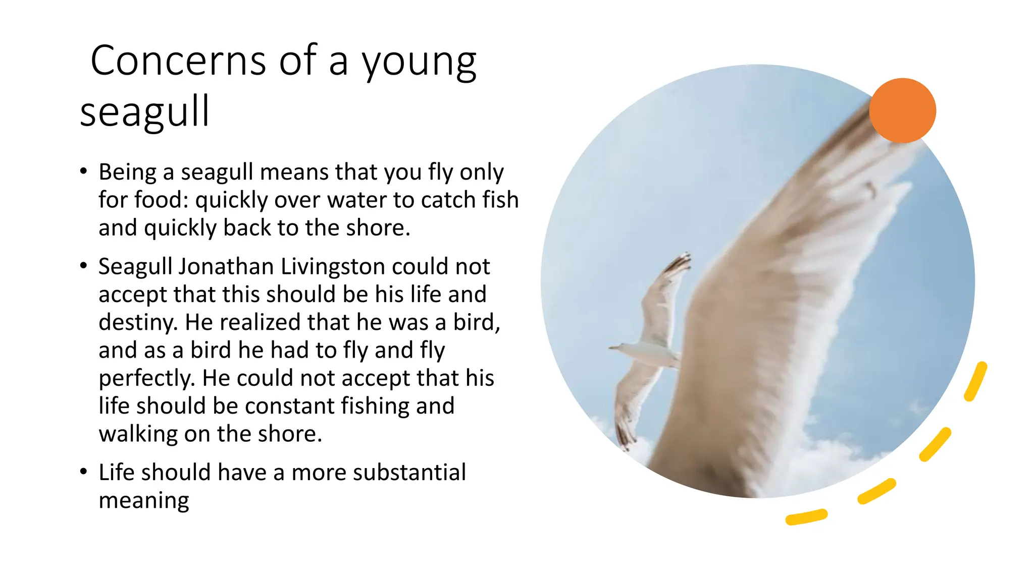 Jonathan Livingston Seagull.pdf