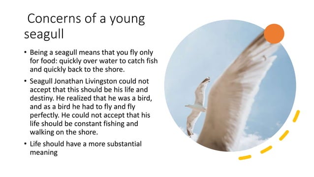 Jonathan Livingston Seagull.pdf
