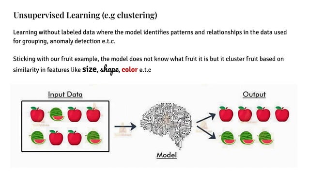 Building a Machine Learning Model and AI Bias | PPT