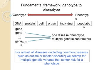 Jonathan Pevsner - Biobanking: a user's perspective and overview | PPTX