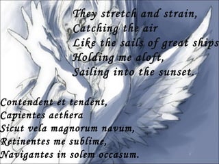 Jonathans Cool Latin Poem About An Angels Wings With Lots Of ...