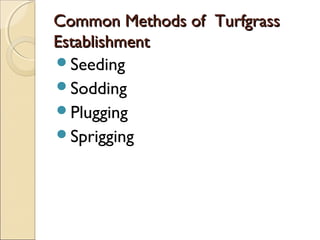 Jon Hill Turf | What is Turf Grass and its Management | PPT