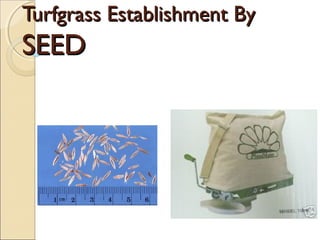 Jon Hill Turf | What is Turf Grass and its Management | PPT