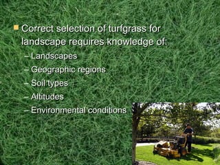 Jon Hill Turf | Turf Selection, Establishment, and Maintenance | PPT