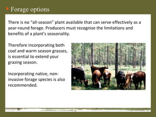 Jon hill turf | How to Do Forage Selection and Pine Silvopasture | PPT
