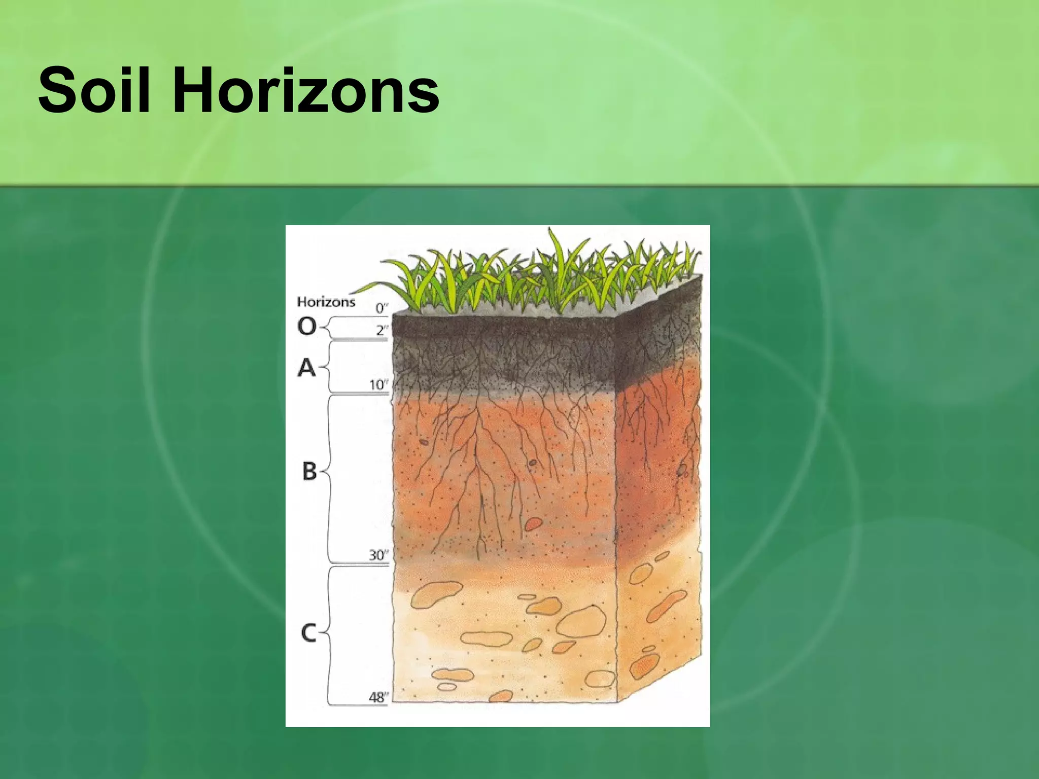 Jon Hill Turf | What is Soil Made Up for Growing Turf and Plants | PPT