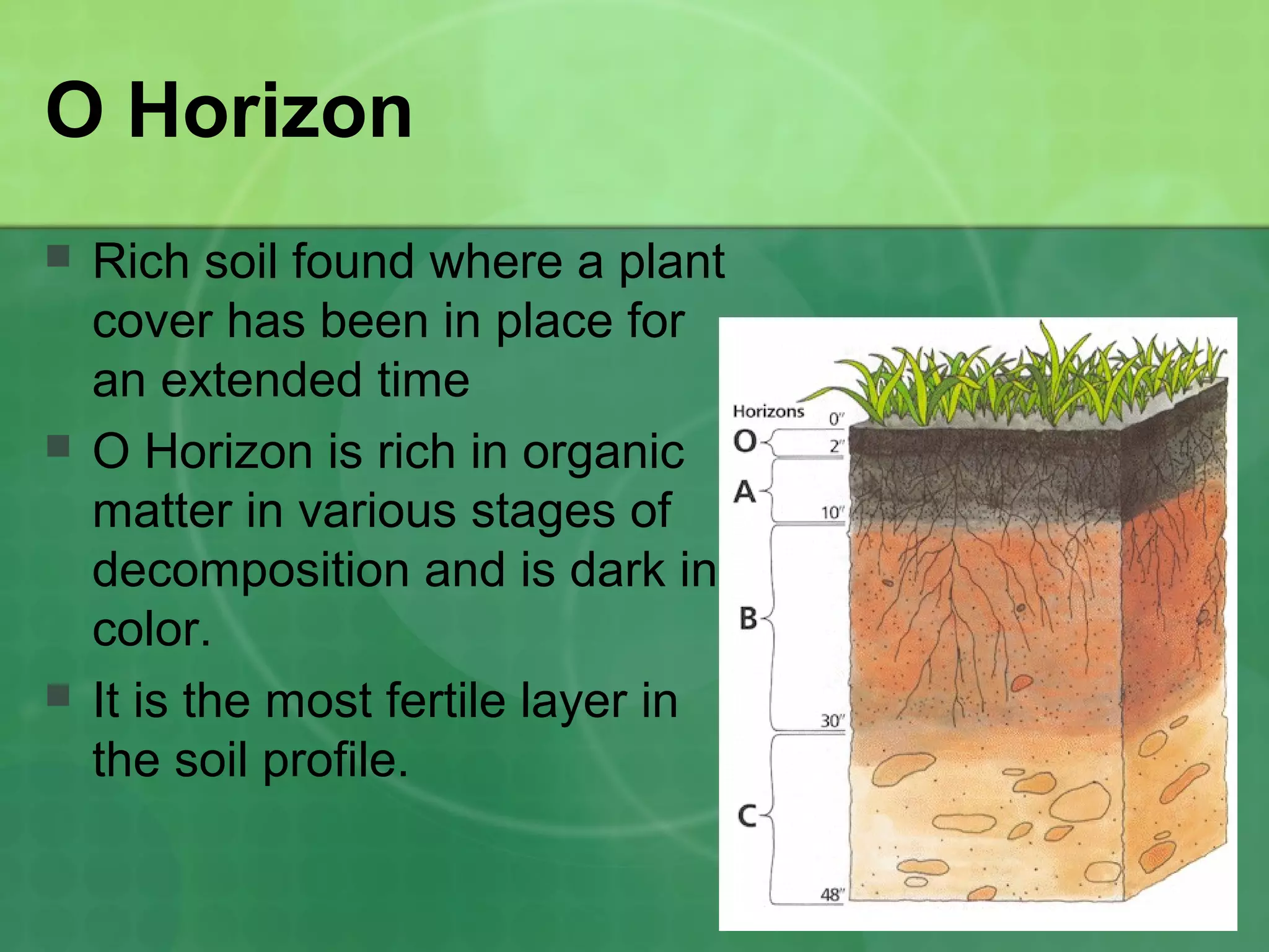 Jon Hill Turf | What is Soil Made Up for Growing Turf and Plants | PPT