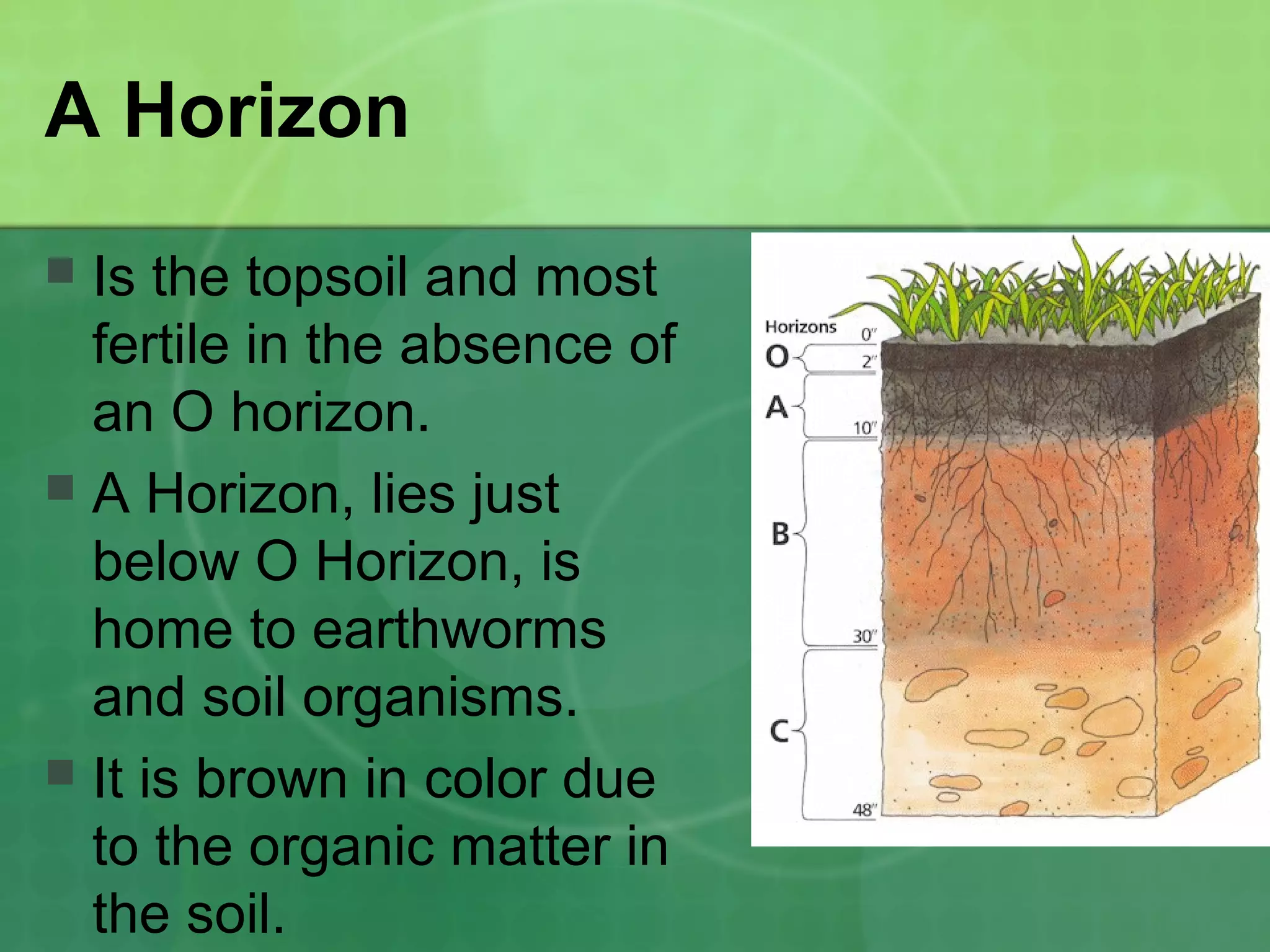 Jon Hill Turf | What is Soil Made Up for Growing Turf and Plants | PPT