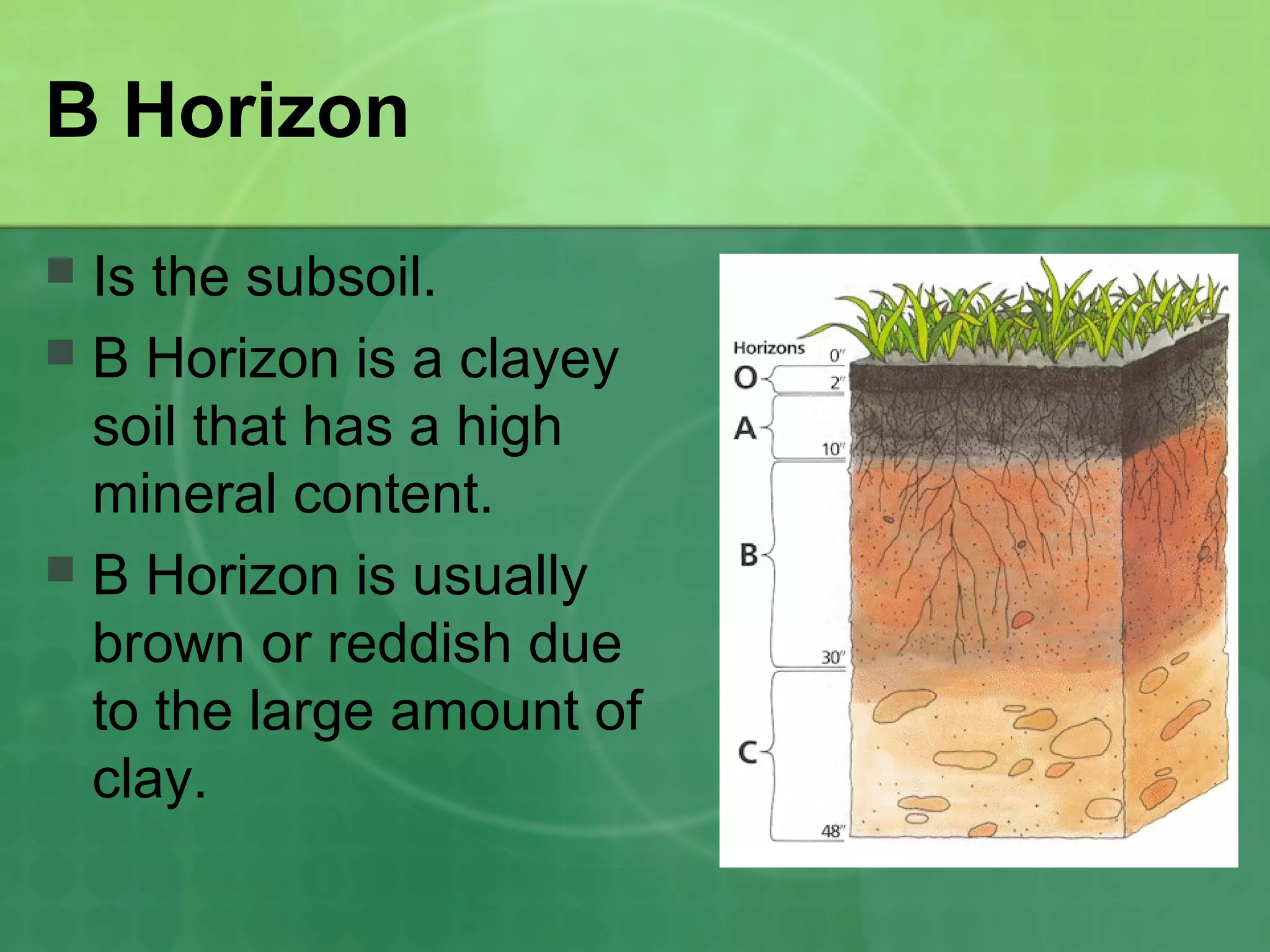 Jon Hill Turf | What is Soil Made Up for Growing Turf and Plants | PPT