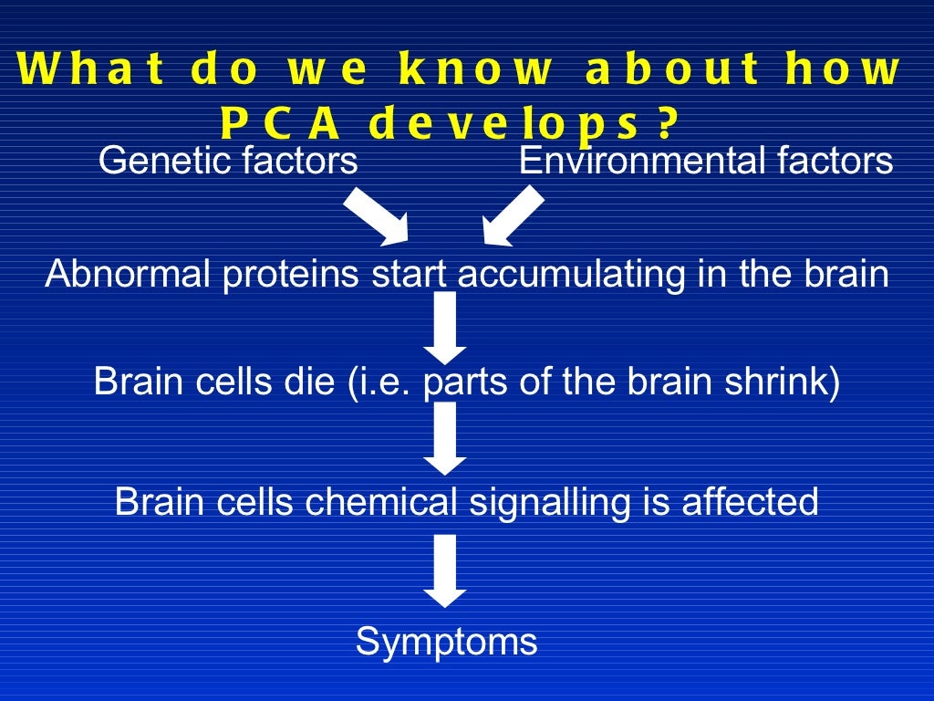PCA Treatments by Jon Schott