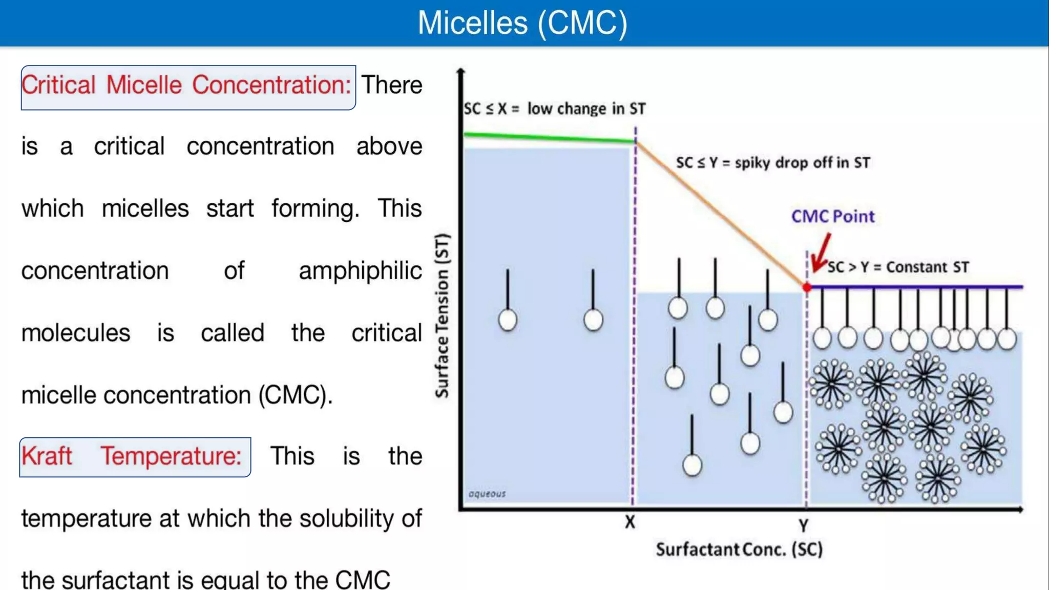 Micelles | PPTX