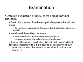 Testicular Cancer | PPTX