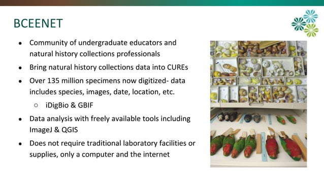 Jordan et al - Ready set research.pptx | Undergraduate Education | College Education