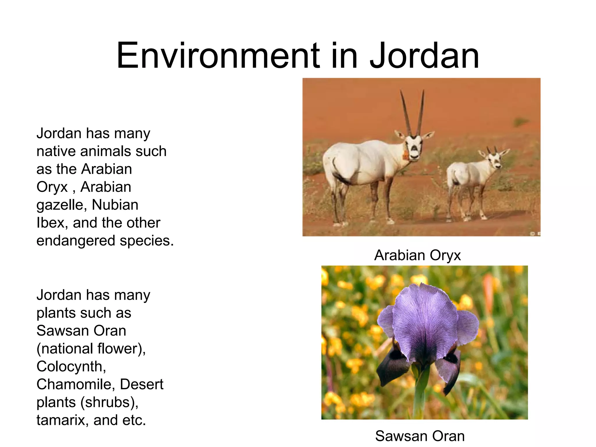 Jordan Presentation | PPT