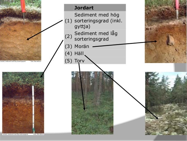 Jordarter och jordmåner