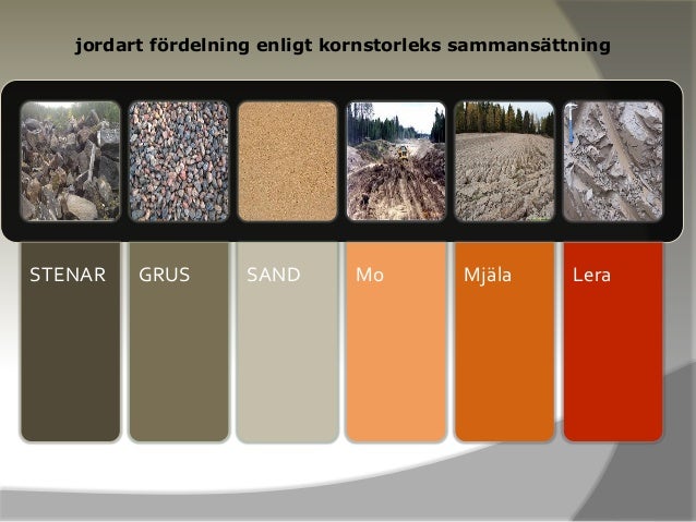 Jordarter och jordmåner