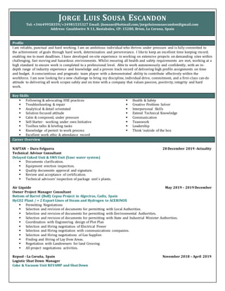 Jorge luis sousa escandon cv february 2020 | DOCX