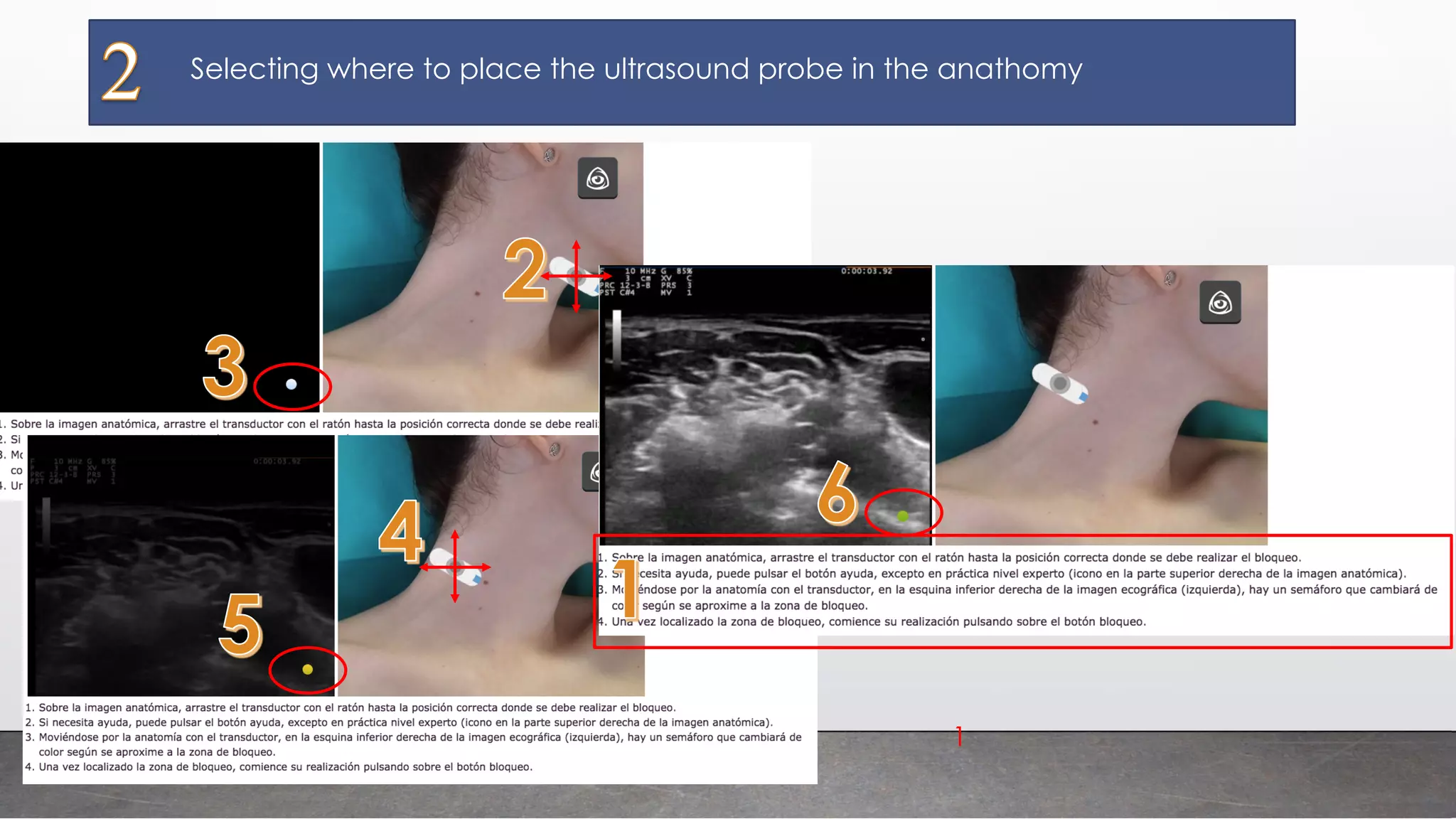 Design of an ultrasound simulation tool for procedures training and ...