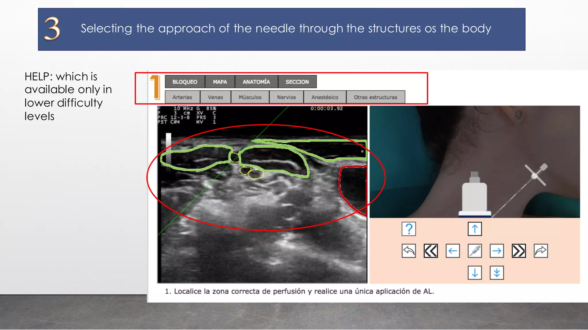 Design of an ultrasound simulation tool for procedures training and ...