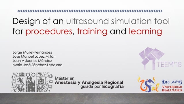 Design of an ultrasound simulation tool for procedures training and ...