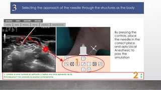 Design of an ultrasound simulation tool for procedures training and ...