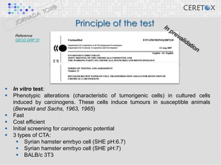 Cell Transformation assay CTA (D. Ramos) | PDF