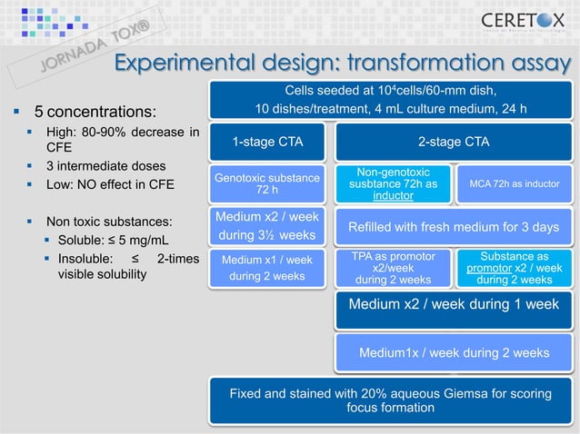 Cell Transformation assay CTA (D. Ramos) | PDF