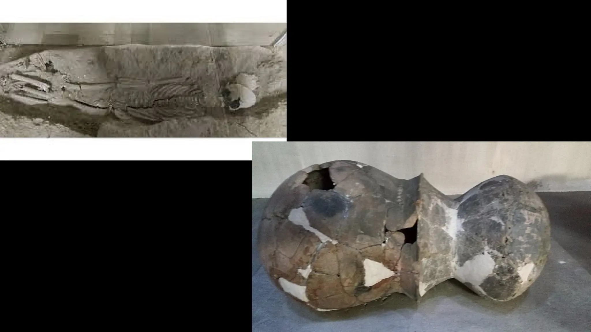 Jorwe Chalcolithic Culture of Western India | PPTX