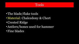 Jorwe Chalcolithic Culture of Western India | PPT