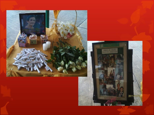 Josefa Plana's Movie Tribute | PPT