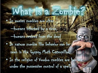 Jose lopez presentation | PPTX