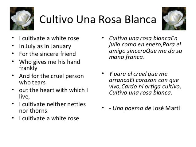 José martí web quest