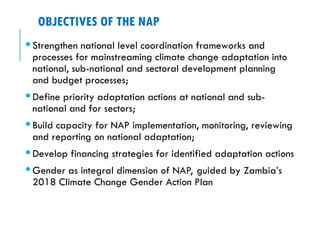 Zambia's National Adaptation Plan Process Overview | PPT