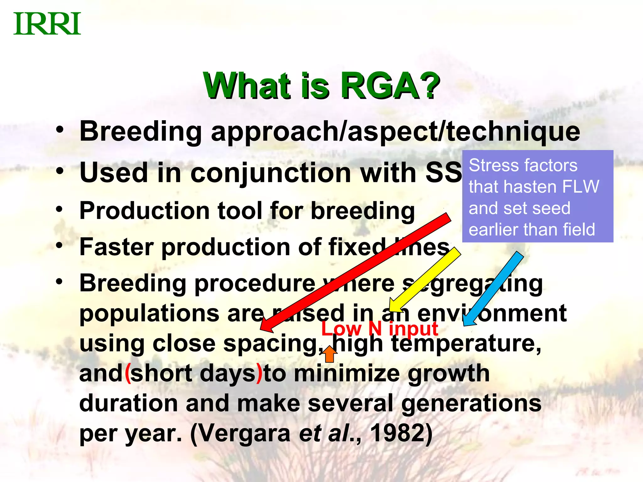 Rapid Generation Advance | PPT