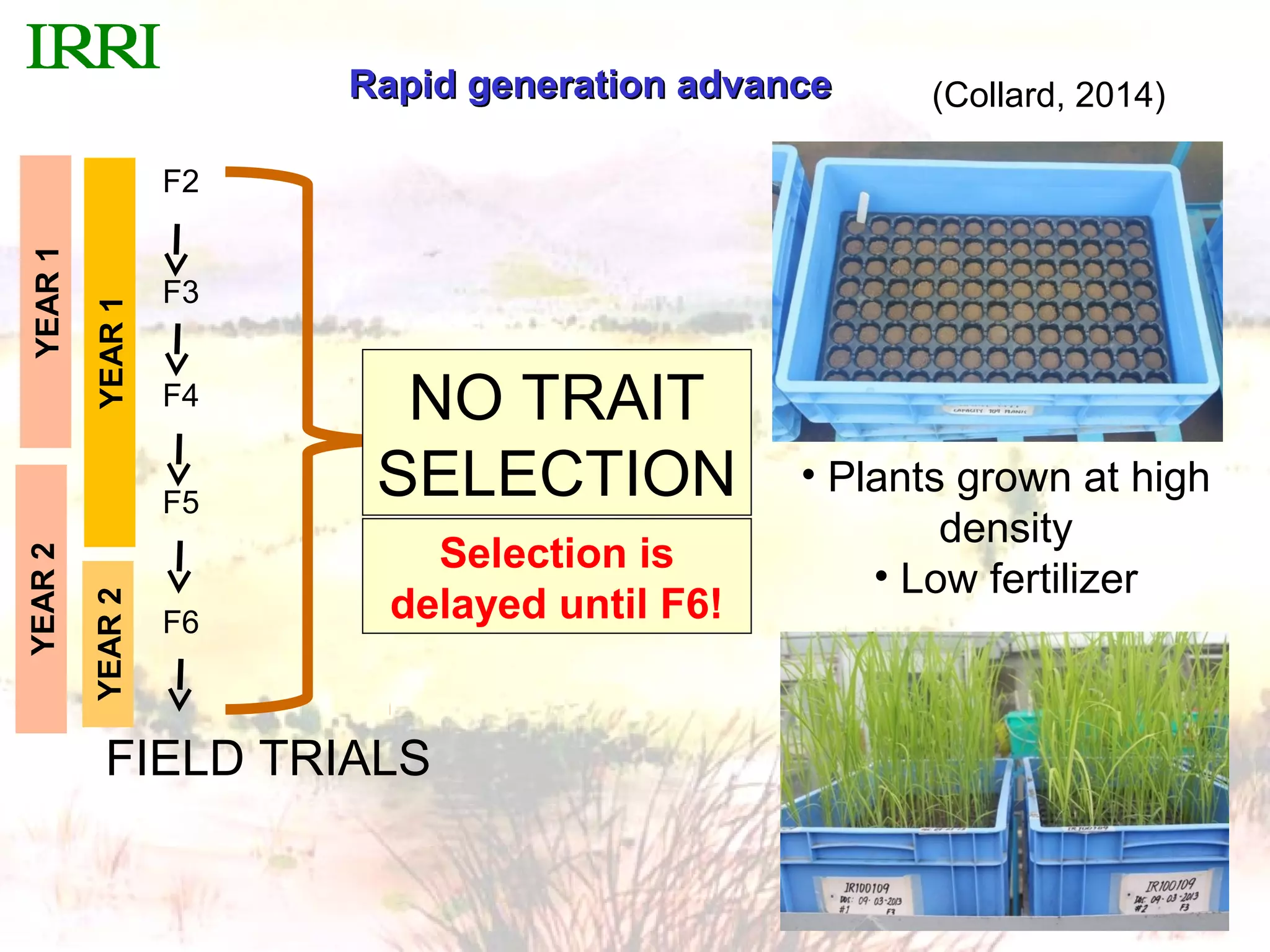 Rapid Generation Advance | PPT