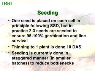 Rapid Generation Advance | PPT