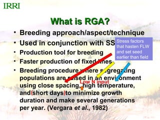 Rapid Generation Advance | PPT