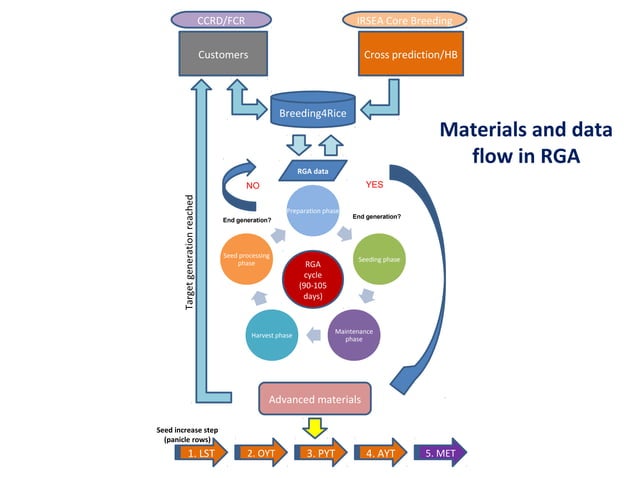 Rapid Generation Advance | PPT