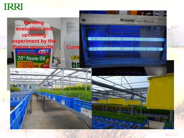 Rapid Generation Advance | PPT