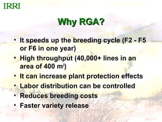 Rapid Generation Advance | PPT