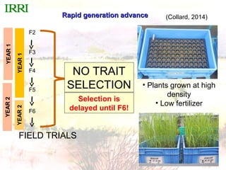 Rapid Generation Advance | PPT