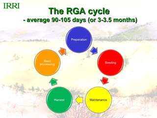 Rapid Generation Advance | PPT