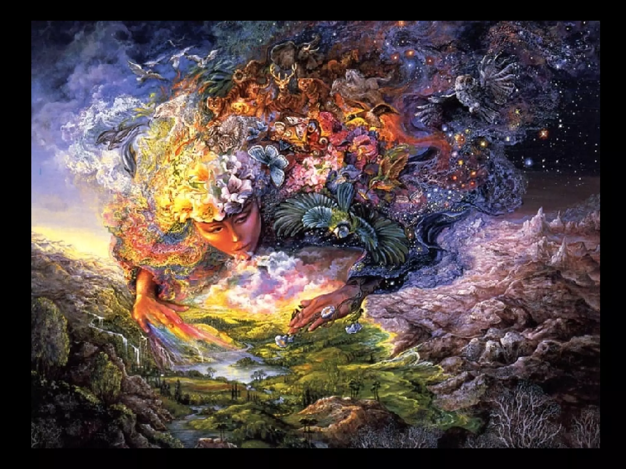 Josephine Wall | PPS