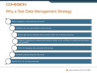Joseph Ours - The Scourge Of Testing: Test Data Management | PPT | Free ...