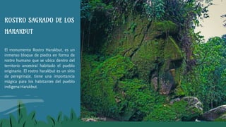 Pueblo indigena harakbut.Otras denominaciones: Amarakaeri, wachipaeri ...