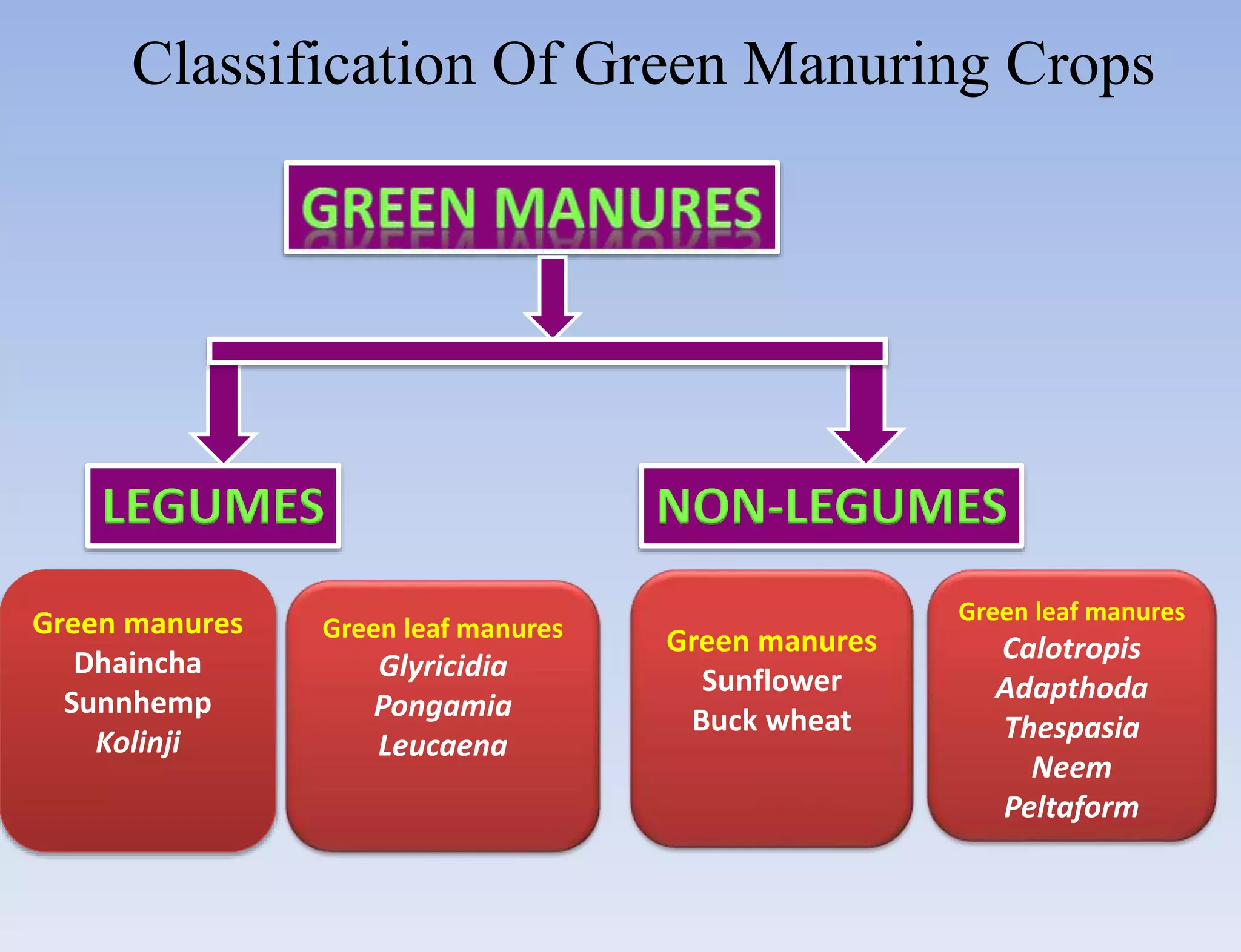 Important of green manuring and their effect on soil fertility | PPTX