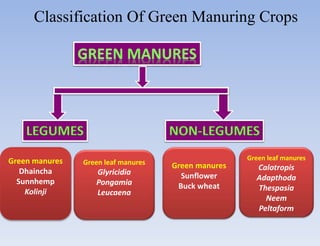 Important of green manuring and their effect on soil fertility | PPTX