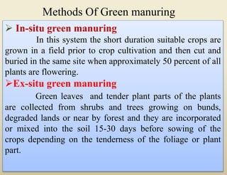 Important of green manuring and their effect on soil fertility | PPTX